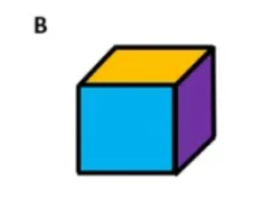 FEAST 1 Test: Practice REAL Examples (2024)